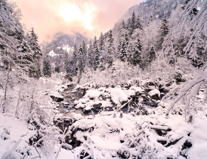 Dieses Jahr hat es endlich mal wieder geklappt