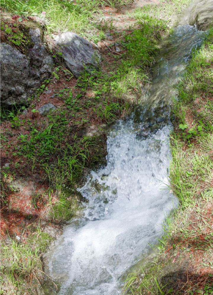 Auf der Suche nach den Quellen